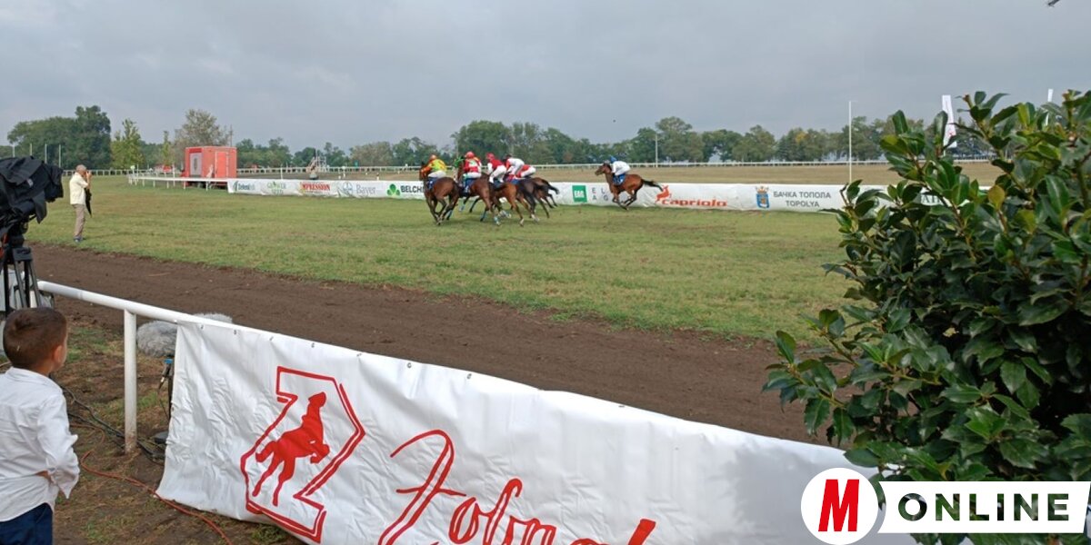 Ötven ló és lovasa állt rajthoz | Magyar Szó