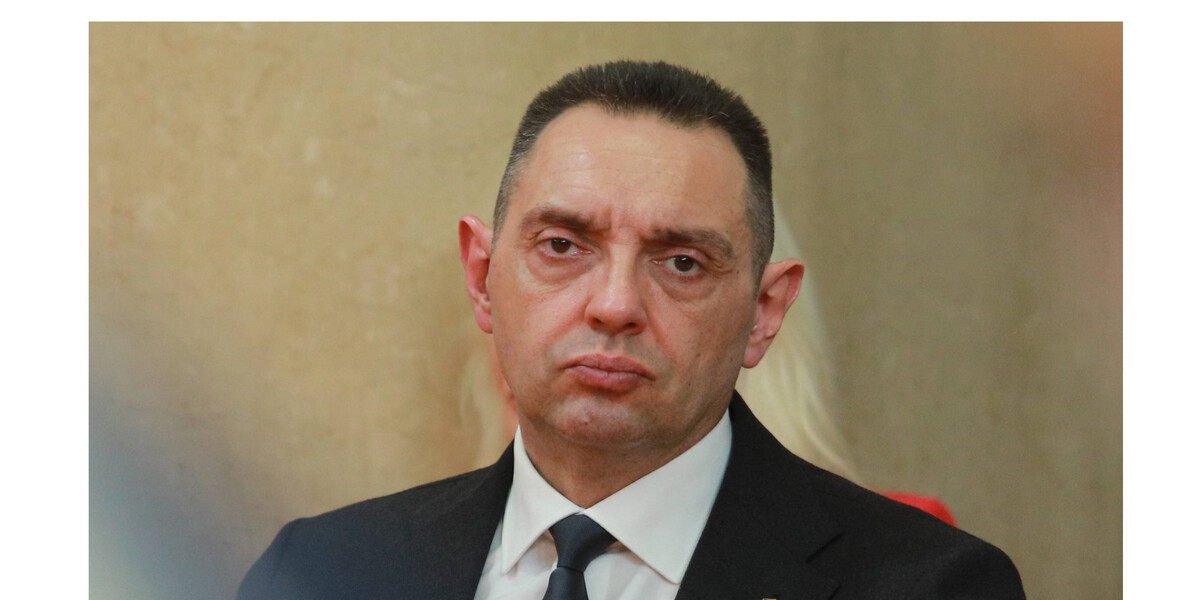 Aleksandar Vulin lemondott a BIA igazgatói posztjáról | Magyar Szó