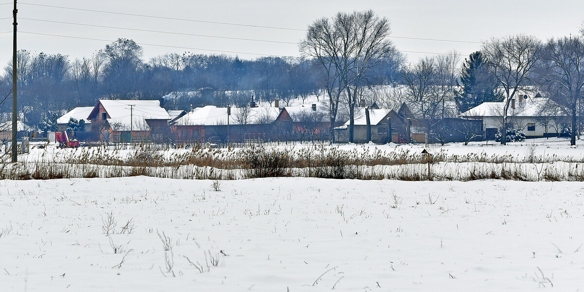 A jó tél jó termést ígér | Magyar Szó